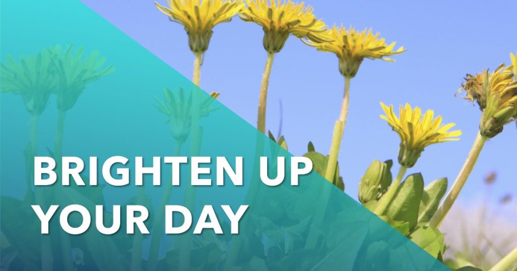 Adjectives for Bright - How to Describe Bright